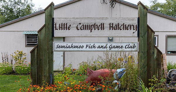 Order tickets for the 2025 Salmon Sessions 50/50 Draw | Raffle Nexus